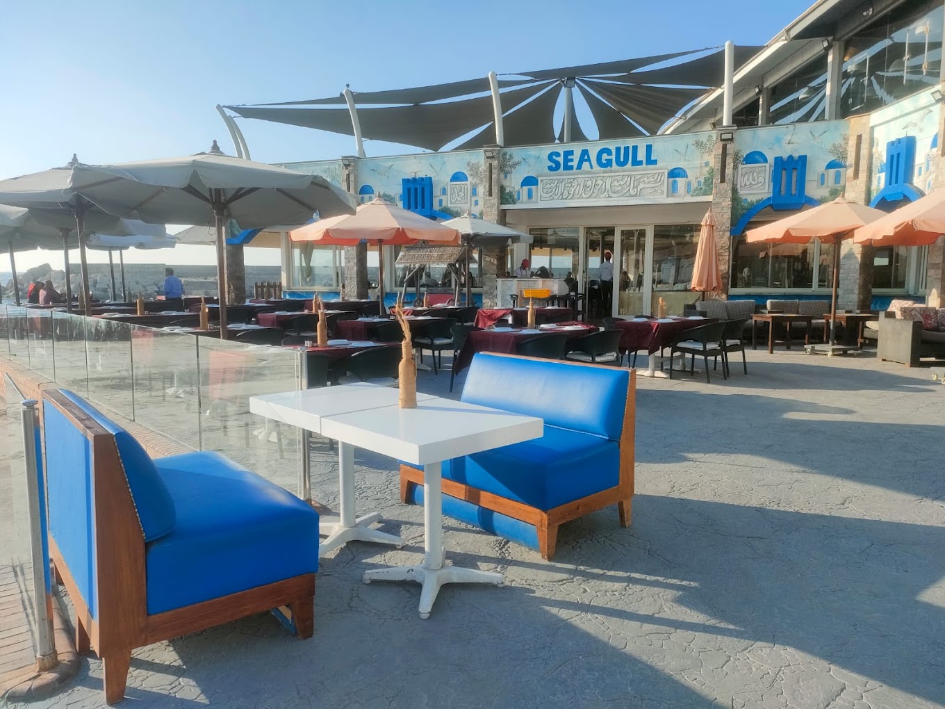 Sea Gull, Alexandria, Egypt: Perfect Blend of Tradition and Modernity ...