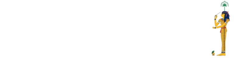 Allianz Egypt: Leading the Way in Insurance and Financial Services ...