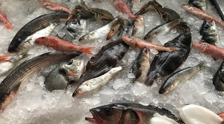 Samakmak: A Premier Seafood Destination in Giza, Egypt - The Official ...